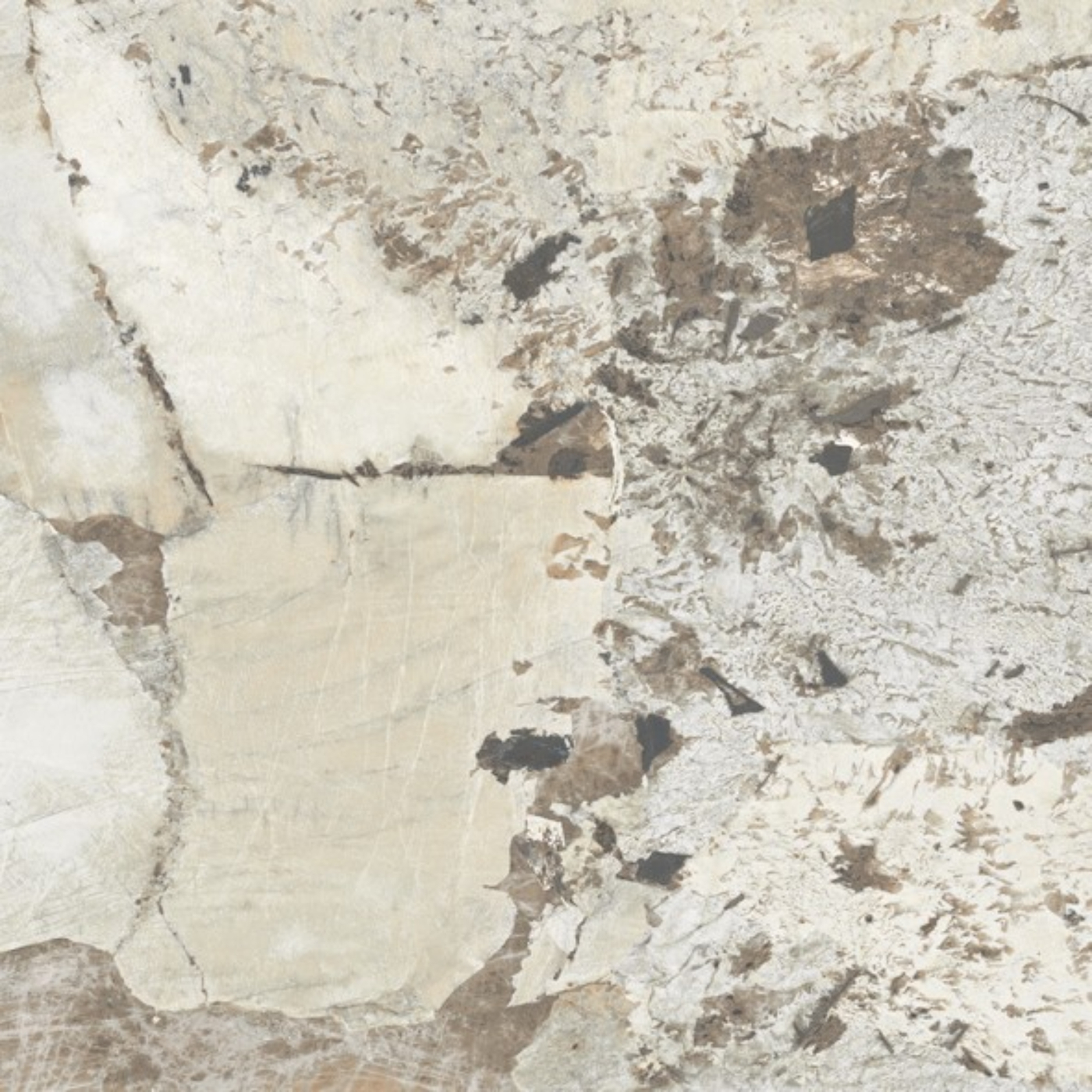 Porcelanato Vite 120x120 austral ivory natural 1º | Foschia